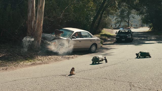 Drive Smarter With Connected Car Technology | Hum by Verizon